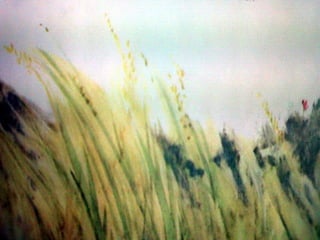 Story telling one fine day | PPT