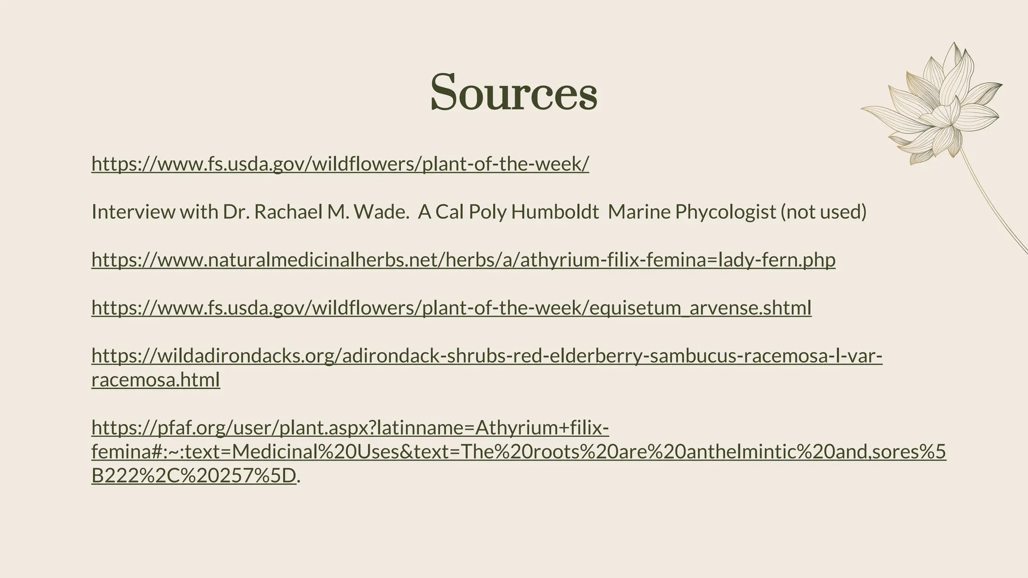 Hungry? Snack on these edible native plants | PPTX | Gardening | Home ...