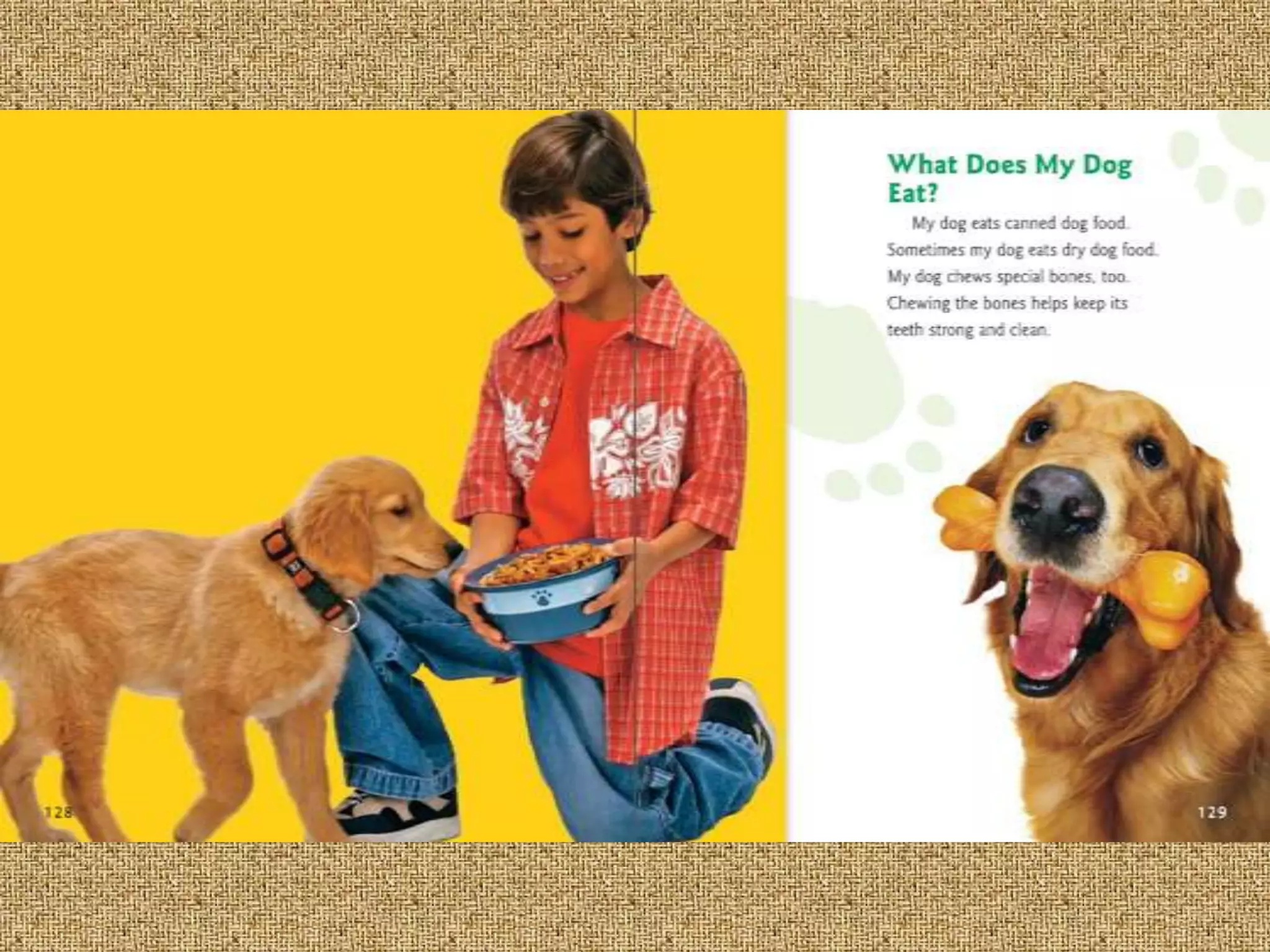 Storytown Dogs | PPTX