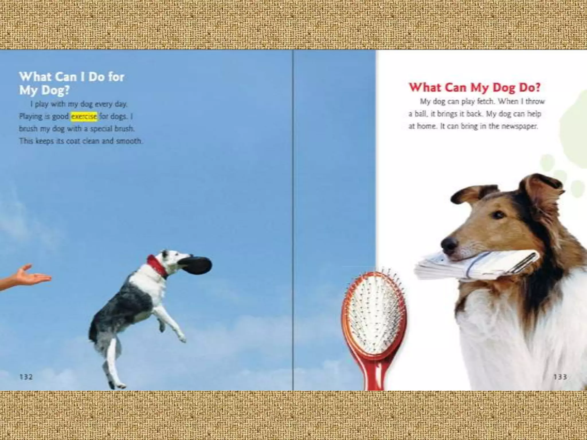 Storytown Dogs | PPTX