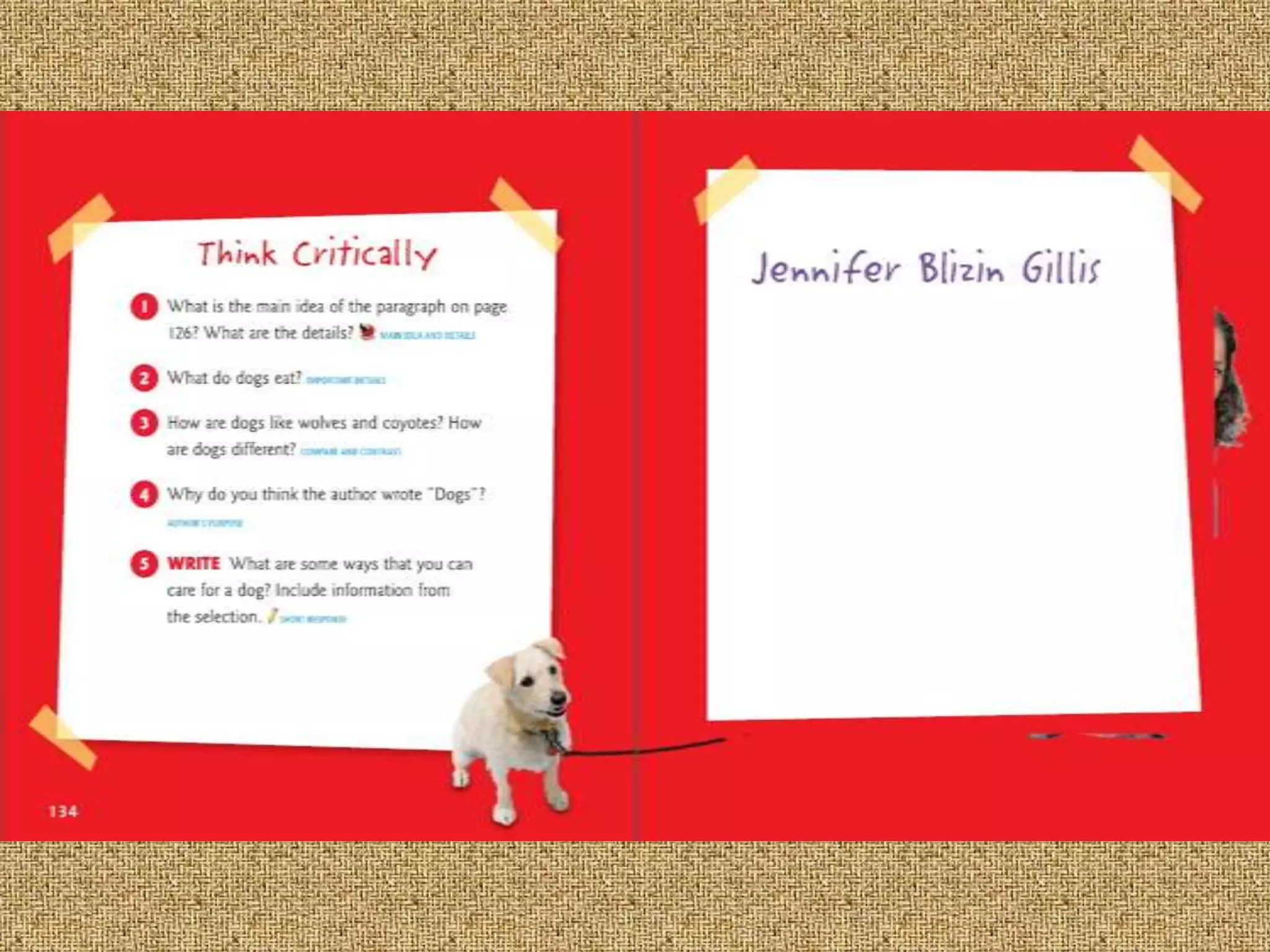 Storytown Dogs | PPTX