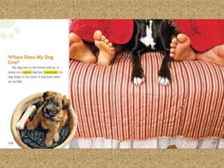 Storytown Dogs | PPTX