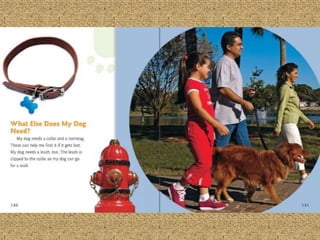 Storytown Dogs | PPTX