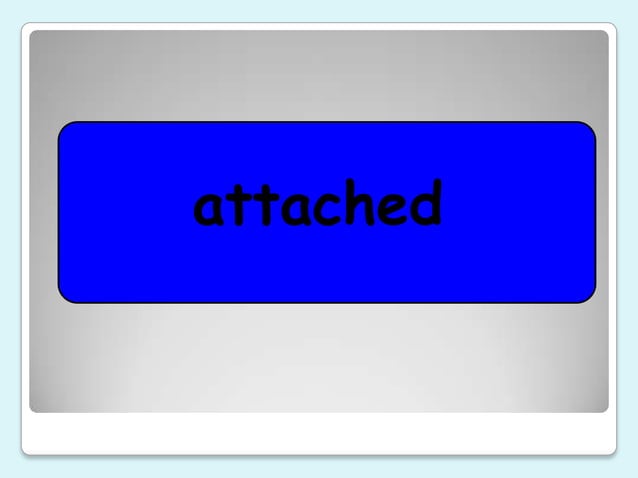 Storytown Lesson 4 day 1 | PPT