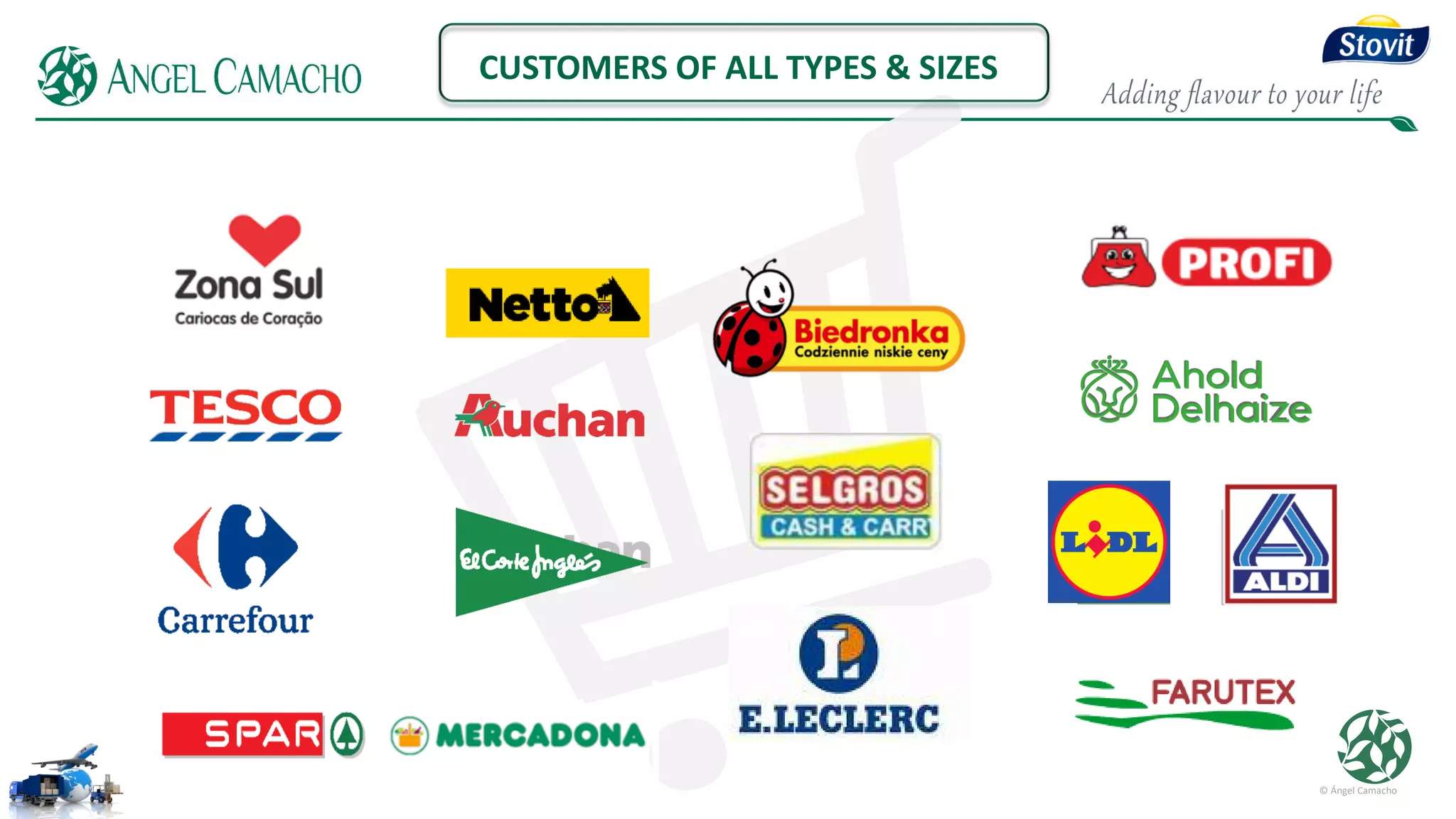 Stovit Group Angel Camacho | PDF