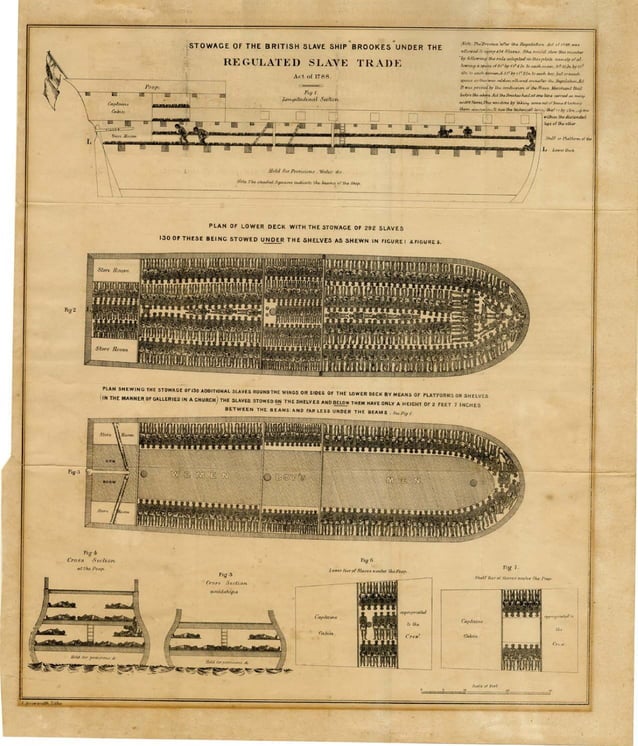 Stowage Of The British Slave Ship Brookes Under The Regulated Slave ...