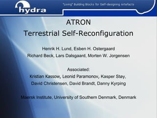 The ATRON Self-reconfigurable Robot | PPT
