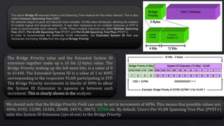 Spanning Tree Protocol and Examples | PPTX