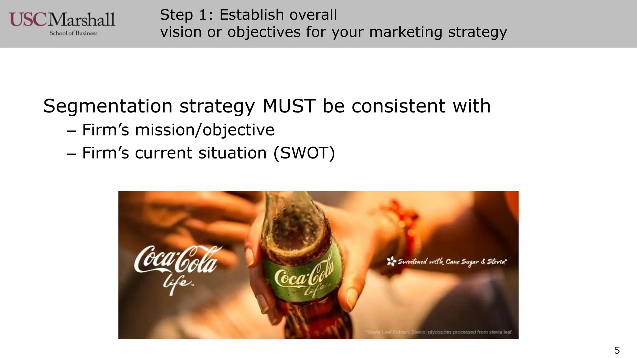 Segmentation Targeting And Positioning Ppt Ppt