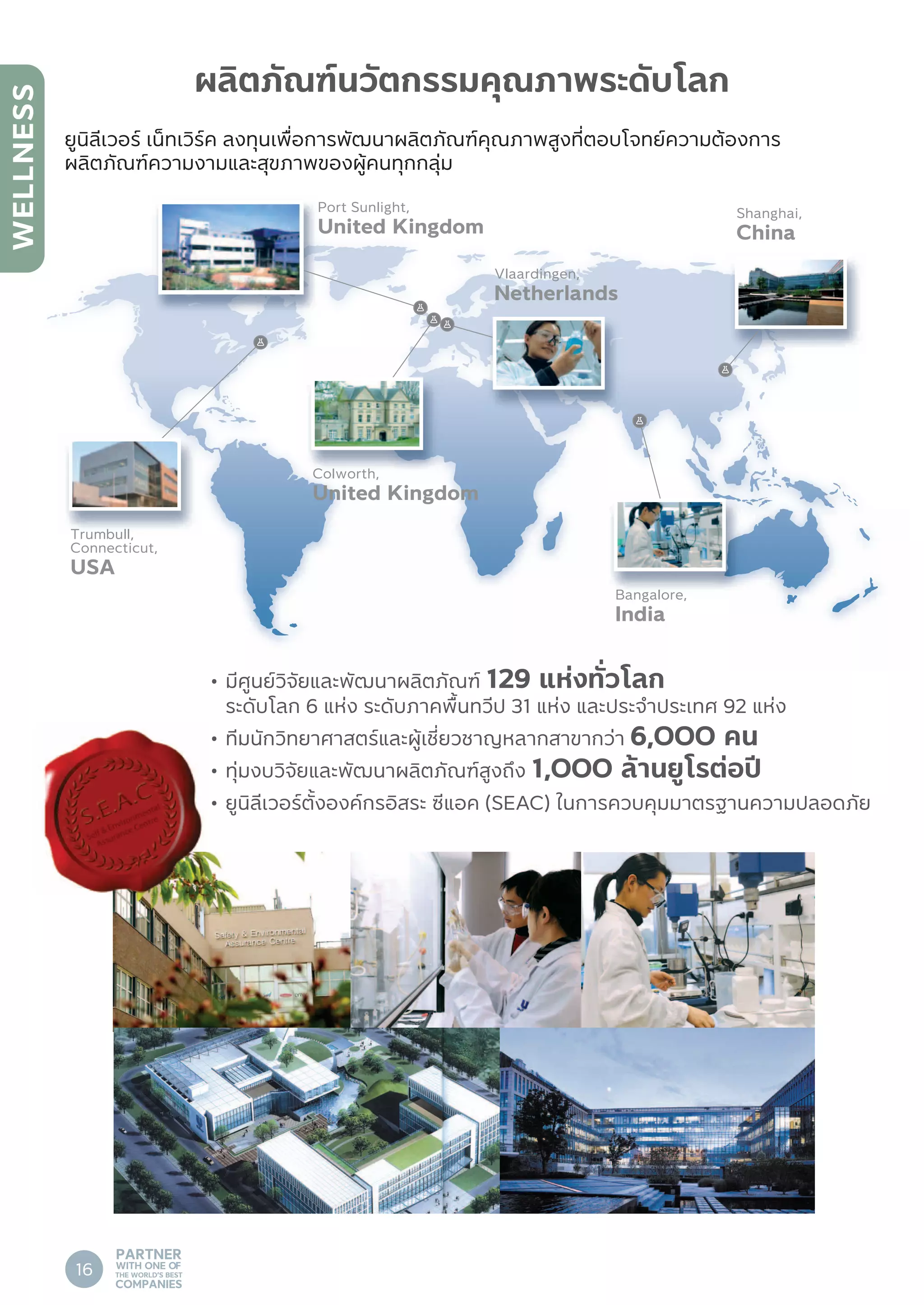 Stp book-Unilever Network | PDF