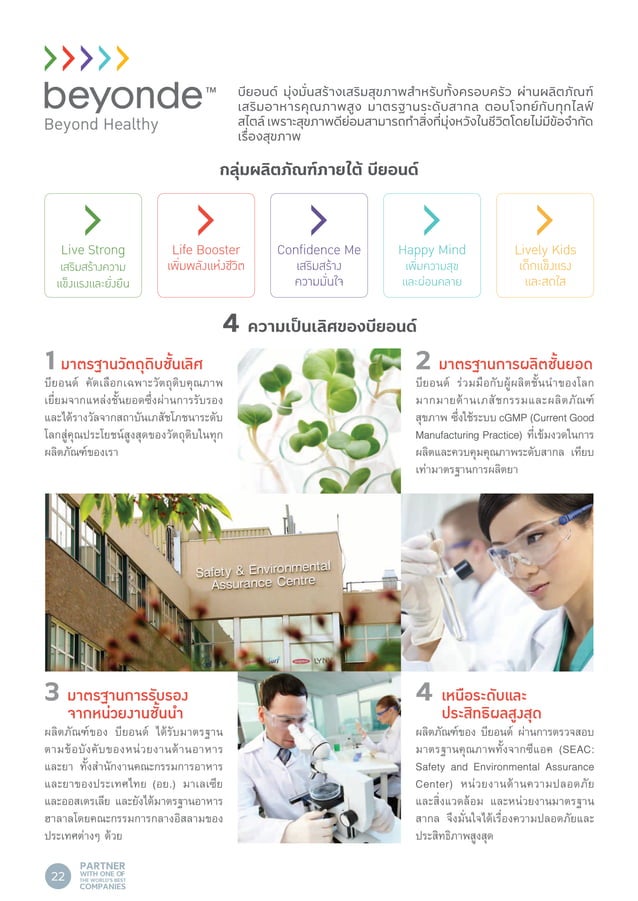 Stp book-Unilever Network | PDF