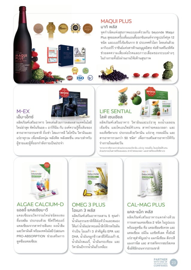 Stp book-Unilever Network | PDF