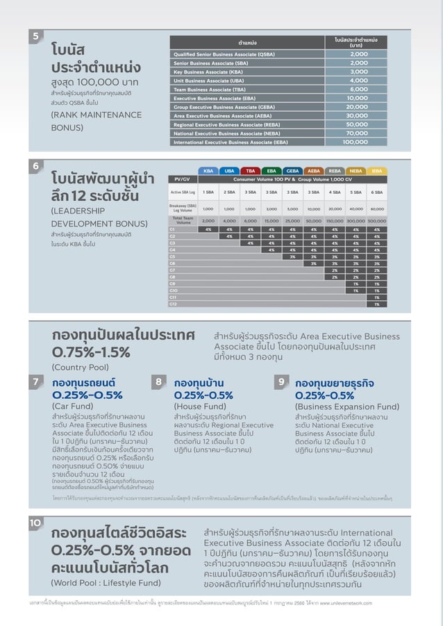 Stp book-Unilever Network | PDF