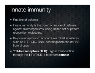 STP seminar 04/08 | PPT