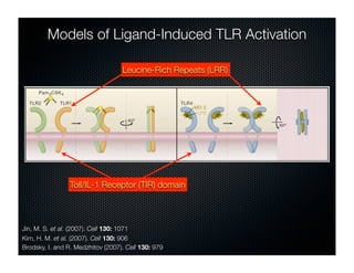 STP seminar 04/08 | PPT