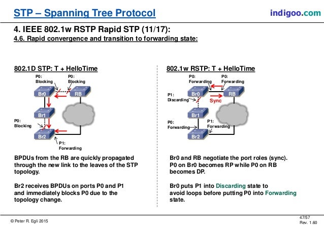 Overview of Spanning Tree Protocol (STP & RSTP)