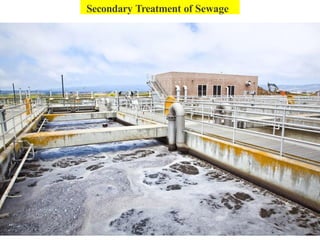 Secondary treatment methods or processes | PPTX