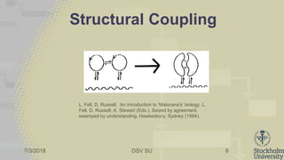 Using Structural Coupling Approach for Defining and Maintaining ...