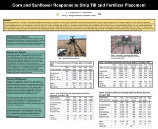 Corn and Sunflower Response to Strip Till and Fertilizer Placement | PPT