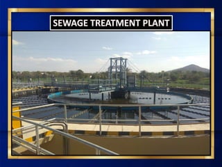 STP PLANT Chennai , Tamil Nadu , Coimbatore , Tricky , Madurai ...