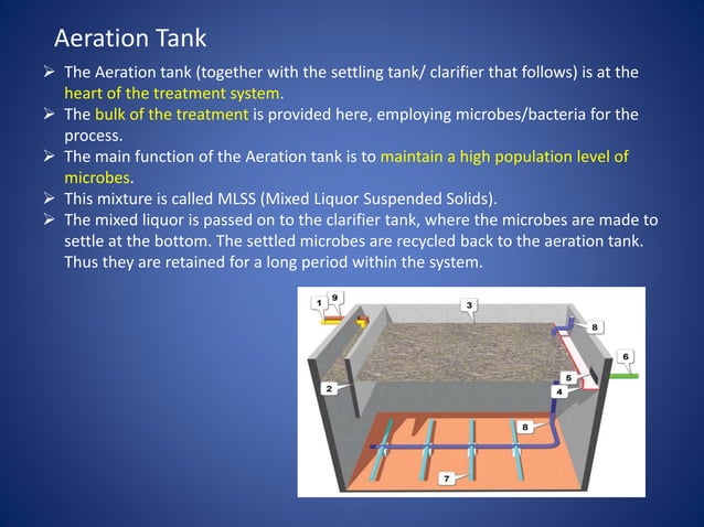 Stp presentation | PPTX