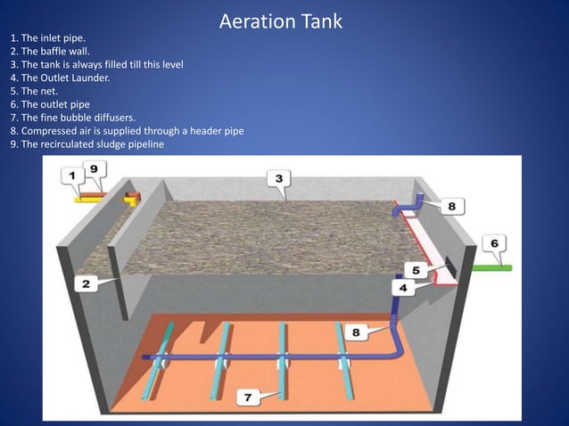 Stp presentation | PPTX