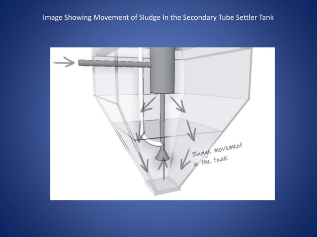 Stp presentation | PPTX