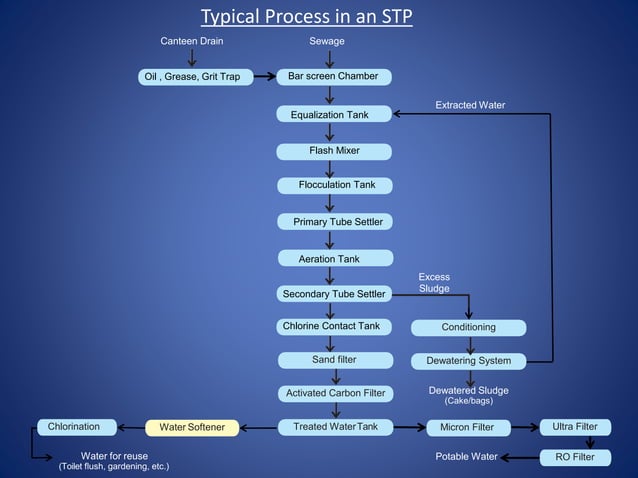 Stp presentation | PPTX