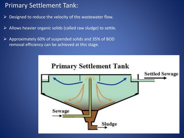 Stp presentation | PPTX