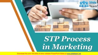 STP Process In Marketing PowerPoint Presentation Slides | PDF