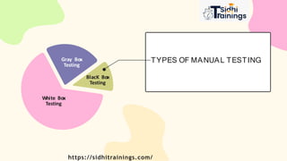 manual testing | PPT