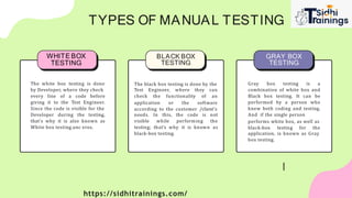 manual testing | PPT