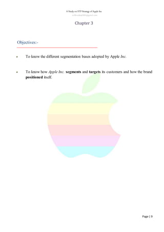 Stp strategy | DOCX