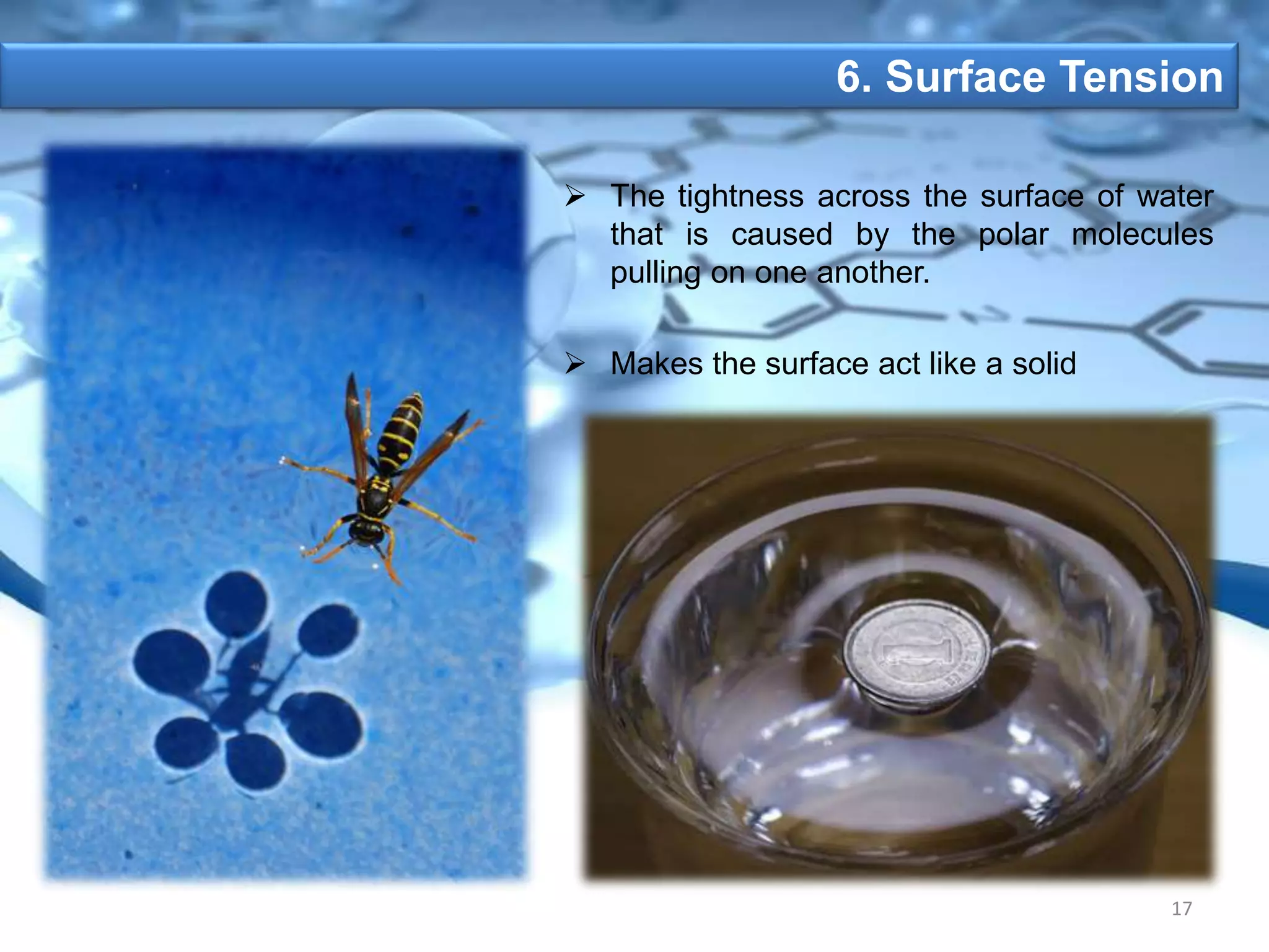 Structure of water | PPTX