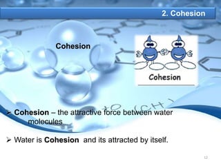 Structure of water | PPTX