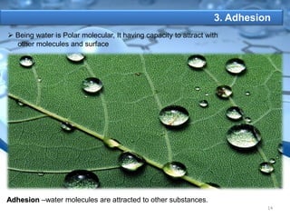 Structure of water | PPTX