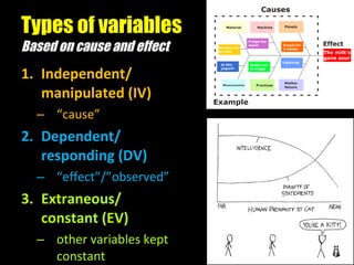 Types of Variables | PPT | Blood Disorders | Diseases and Conditions