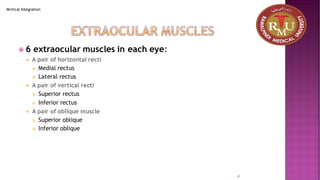 Strabismus-1 - ocular diseases Latest (1) .pdf