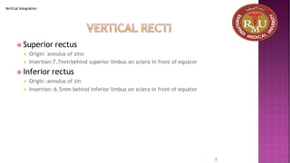 Strabismus-1 - ocular diseases Latest (1) .pdf