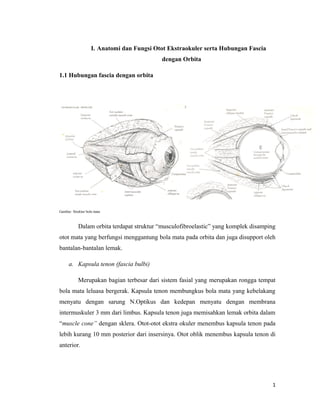 Strabismus | DOC