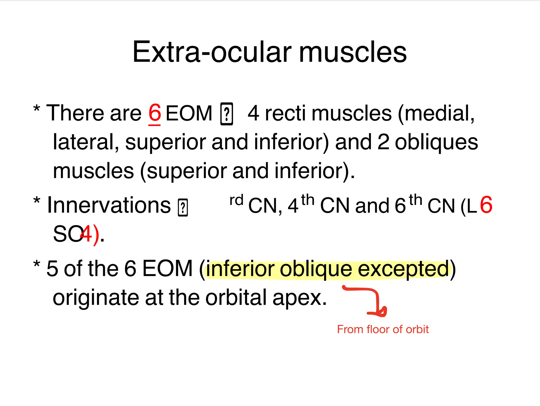 Strabismus .pdf ophthalmology bbbbbbbbbb | PPT