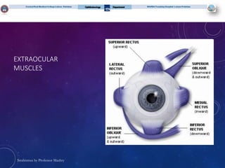 Strabismus squint evaluation and management | PPT