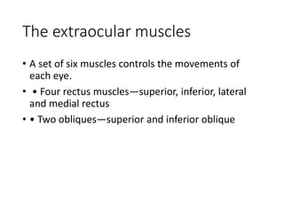STRABISMUS new-WPS Office.pptx