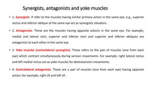 Strabismus o.a class | PPT