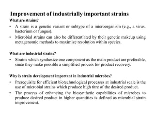 Strain development (Autosaved).docx