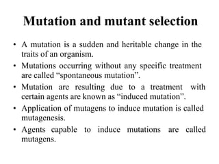 Strain development (Autosaved).docx
