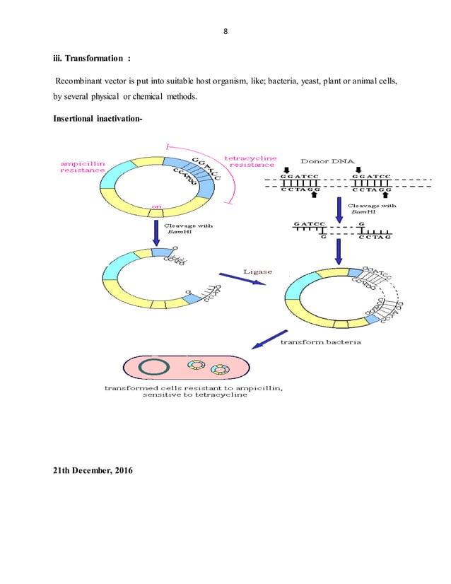 Industrially Important Microorganisms