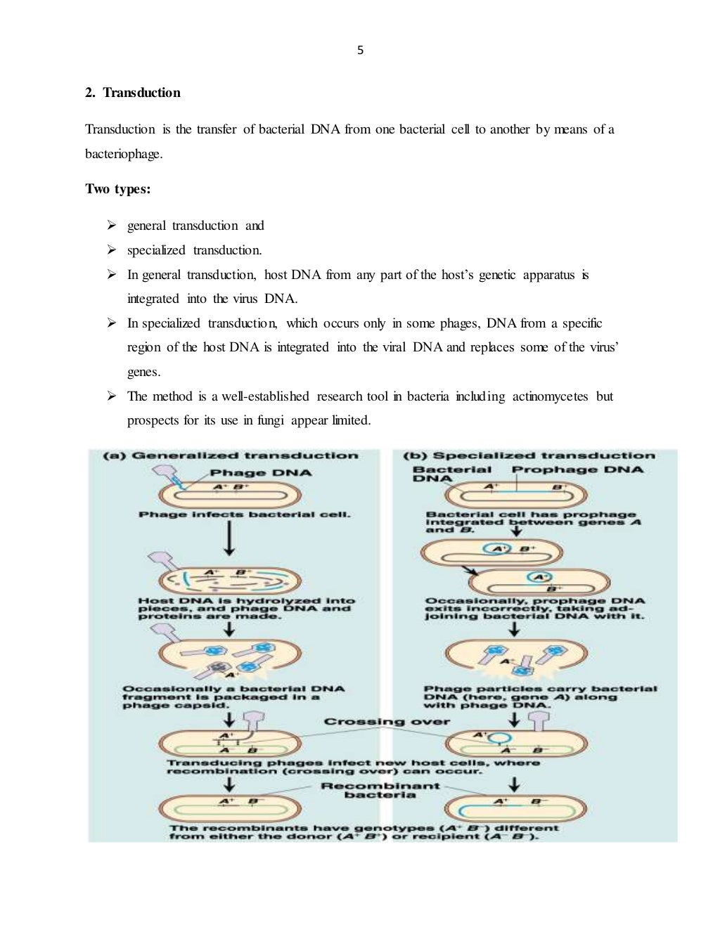 Industrially Important Microorganisms