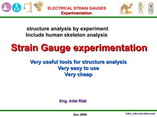 strain gauge structure analysis by experiment.ppt