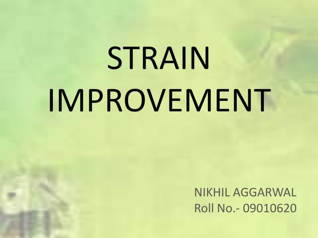 Strain improvement | PPTX